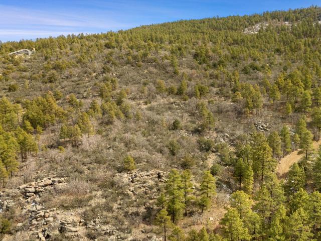 0 S Pine St, Williams, AZ 86046 | MLS #203477