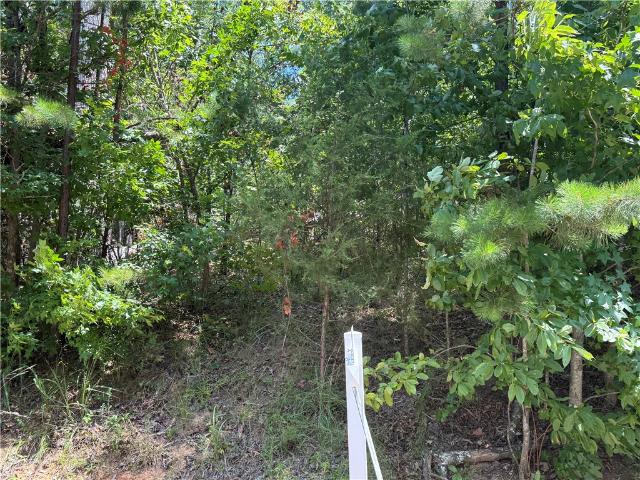 0 S Towson Trail, West Union, SC 29696 | MLS #20290