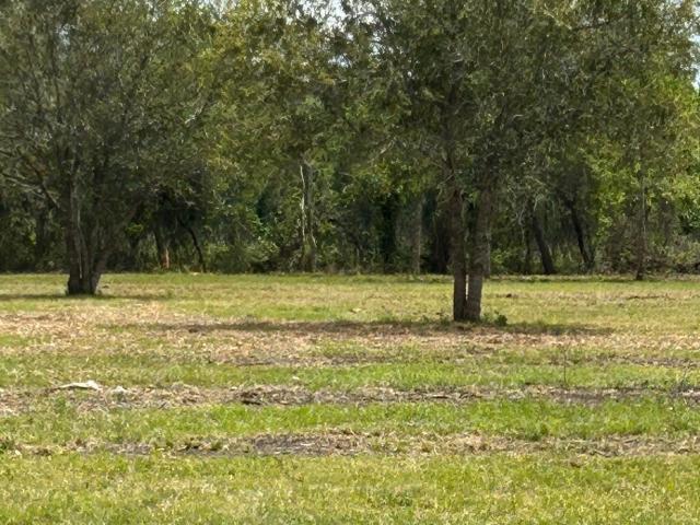 0 Saddle Dr, Needville, TX 77461 | Compass