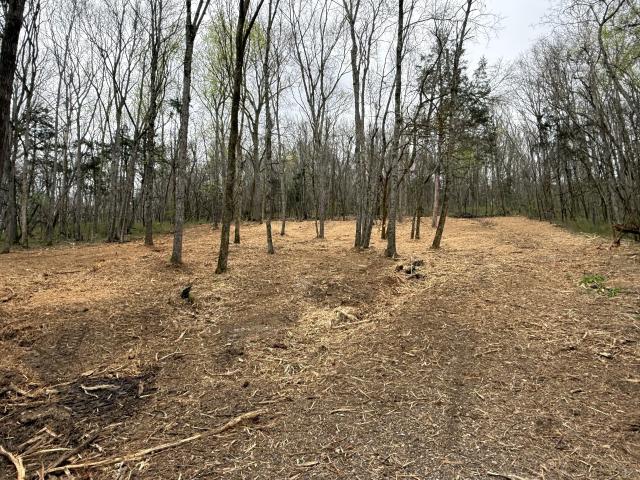 0 Saddle Lane