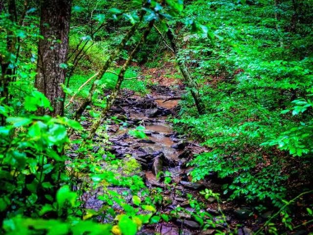 0 Saddler Rd, Manchester, KY 40962 MLS 624928