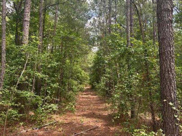 0 Saintsville Rd, Greenville, NC 27834 | MLS #100560