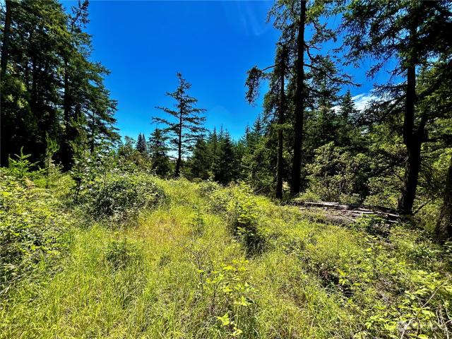 0 Salmonberry Lane