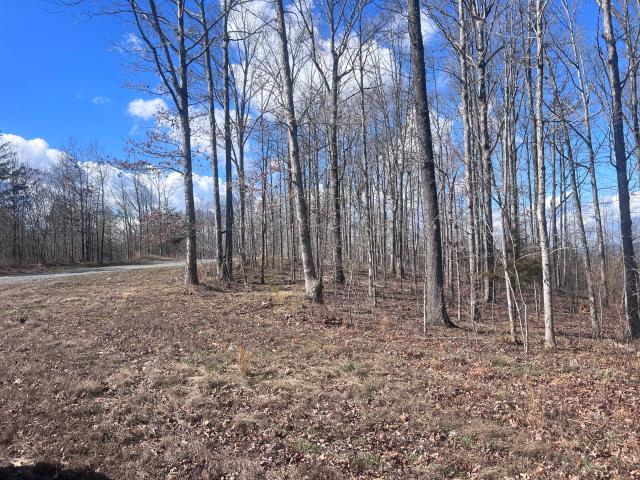 0 Salolee West Ln, Unit 267, South Pittsburg, TN 37380 | MLS #1387