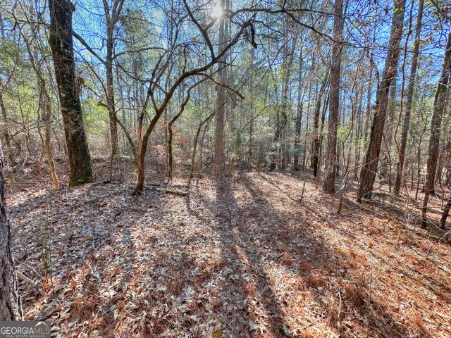 0 Salem Lot 1 Road LOT 1