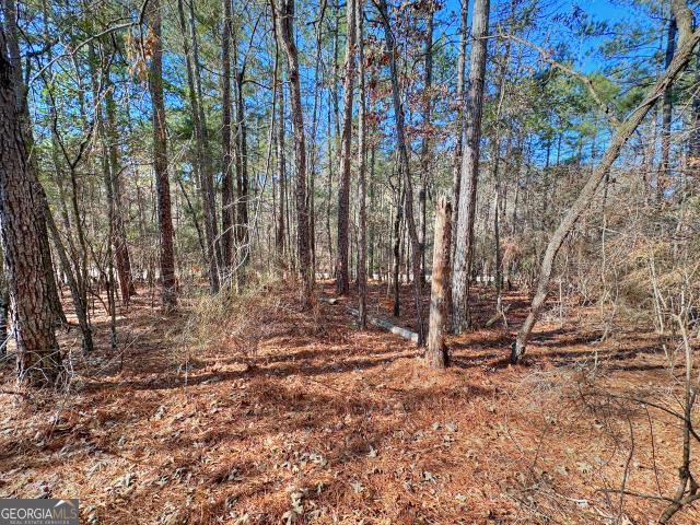 0 Salem Lot 3 Road LOT 3