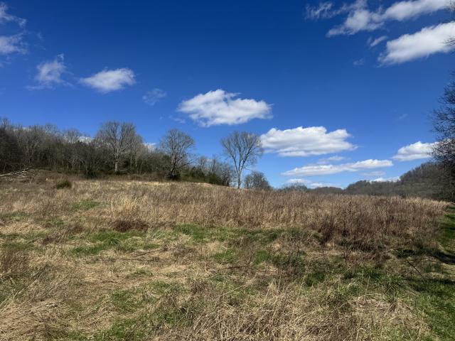 0 Salt Lick Creek Rd