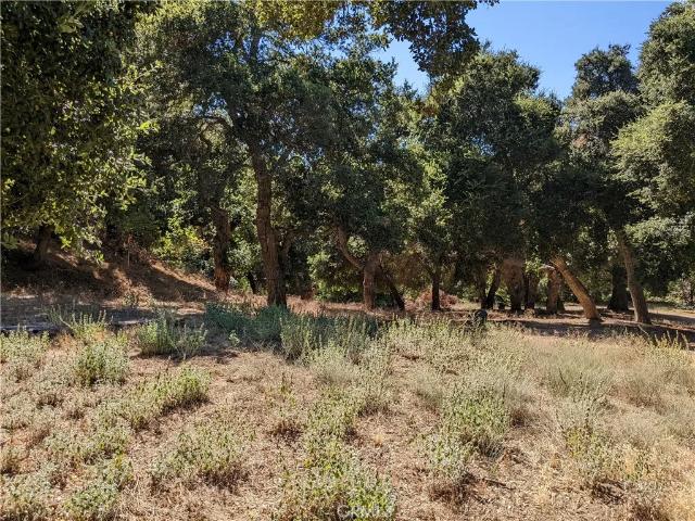 0 San Francisquito Canyon Green Valley, Santa Clarita, CA 91350 | MLS #EV23155