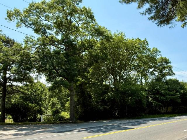 0 Sandwich Rd, East Falmouth, MA 02536 | MLS #22601 | Compass