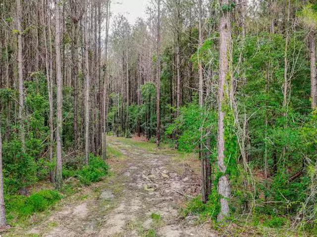 0 SAND HILL ROAD, PISGAH, MS 39047 Vacant Land For Sale MLS#.