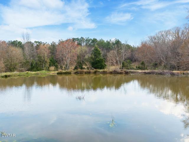 0 Sand Ridge Rd, Huron, TN 38345 | MLS #2600