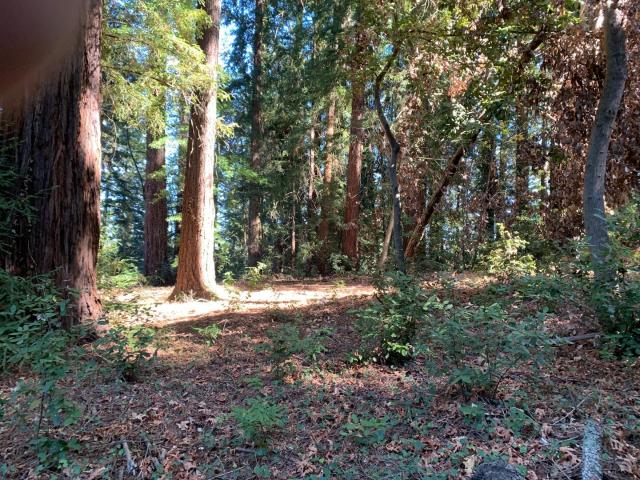 0 Santa Ana Rd, Los Gatos, CA 95033 | MLS #ML81913