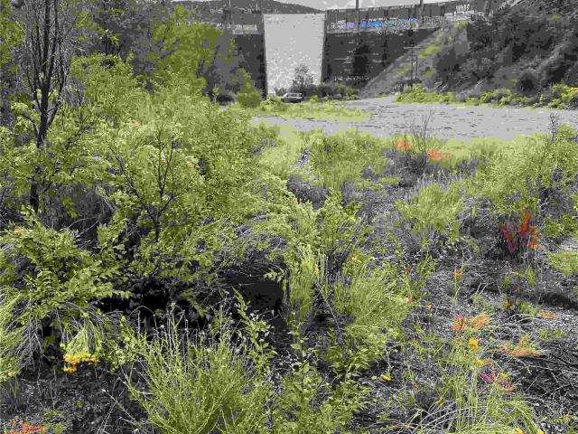 0 Santa Cruz Dam Road