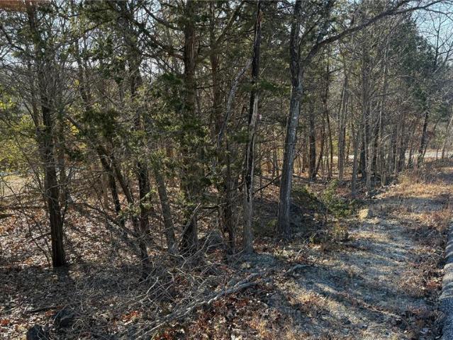 0 Sassafras Dr, Hillsboro, MO 63050 | MLS #25081