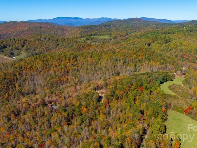 0 Sassafras Dr, Spruce Pine, NC 28777 | MLS #4314