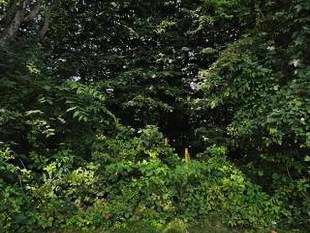 0 Sawmill Boulevard # 4