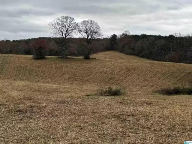 0 SAWMILL ROAD # NONE, BLOUNTSVILLE, AL 35031 Vacant Land For.