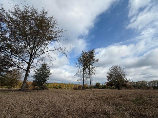 0 Sc 39 Hwy, Williston, SC 29853 | MLS #25031 | Compass