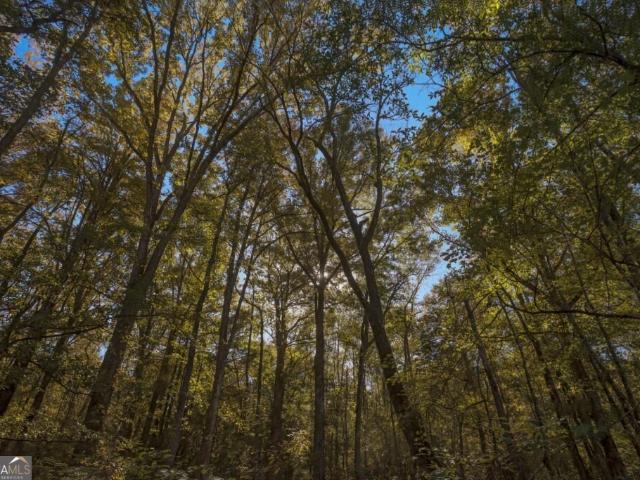 0 Scarboro Landing Road TRACT 1