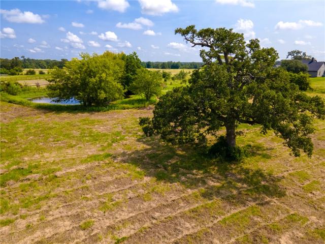 0 Scarborough Dr, Iola, TX 77861 | MLS #25008