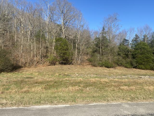 0 Scenic Dr, Pulaski, TN 38478 | MLS #3059