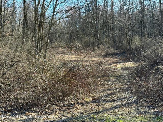 0 Schoolhouse Road