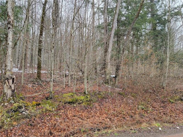 0 Schlafer Road