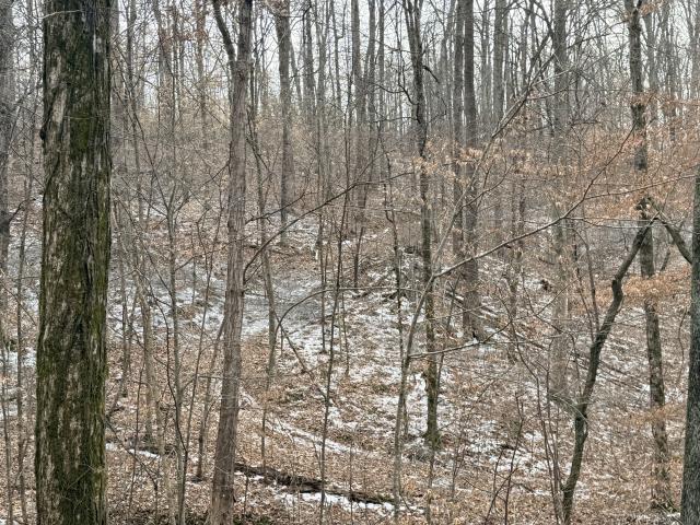 0 Scott Branch Rd