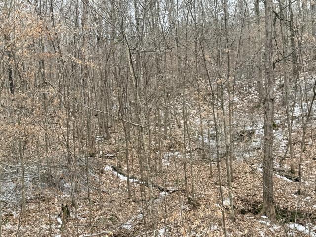 0 Scott Branch Rd, Hampshire, TN 38461 | MLS #3122