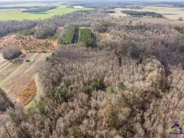 0 Scott Rd, Elko, GA 31025 MLS 240471