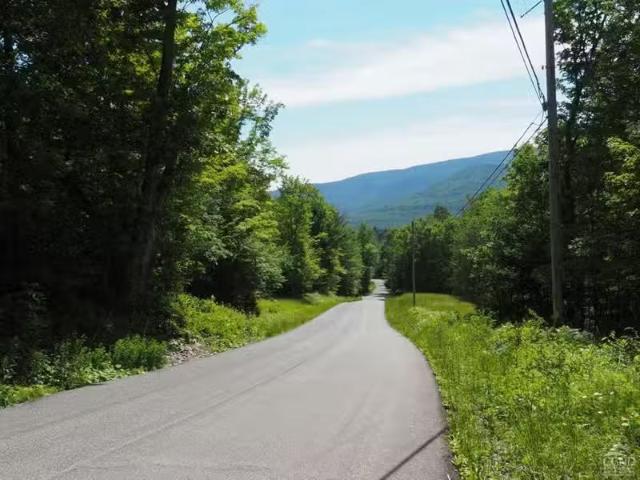 0 SCRIBNER HOLLOW ROAD, HUNTER, NY 12442 Vacant Land For Sale.