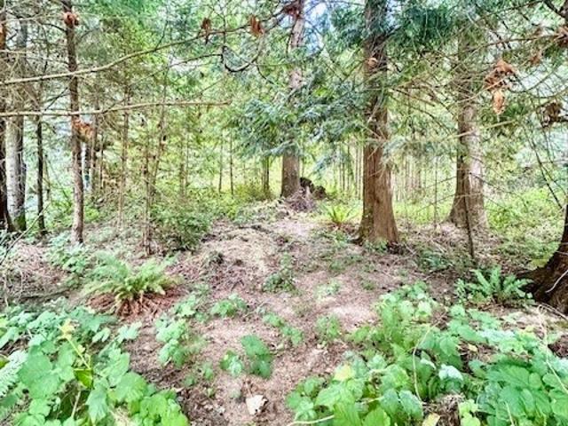0 SE Somers Dr, Shelton, WA 98584 | MLS #2507 | Compass