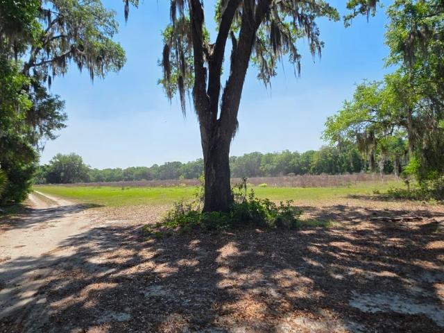 0 SE 225th Dr, Hawthorne, FL 32640 | MLS #A12005 | Compass