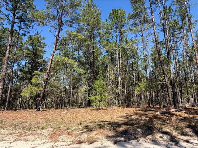 0 SE 58 Pl, Morriston, FL 32668 | MLS #W7884 | Compass