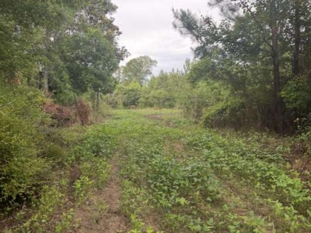 0 Sealy Wells Rd