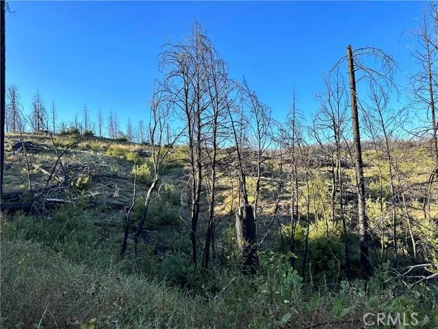 0 Seminole Dr, Berry Creek, CA 95916 | MLS #OR24161 | Compass