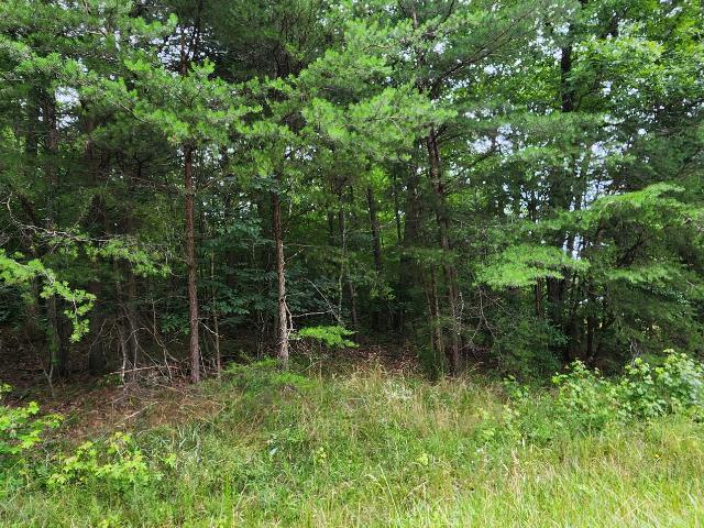 0 Sequatchie Mountain Rd
