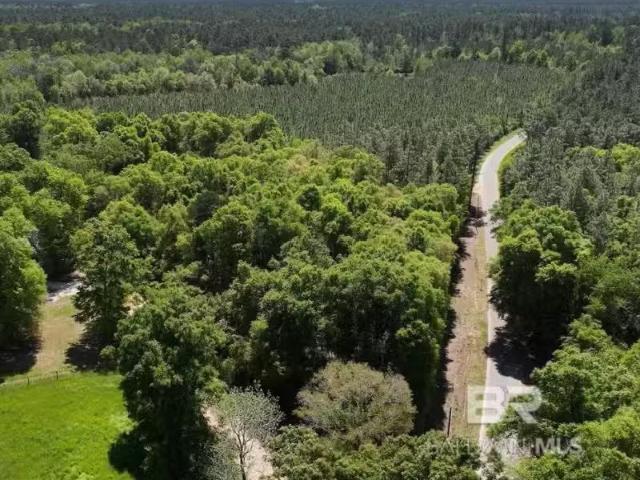 0 SHADY GROVE LANE, BREWTON, AL 36426 Vacant Land For Sale ML.