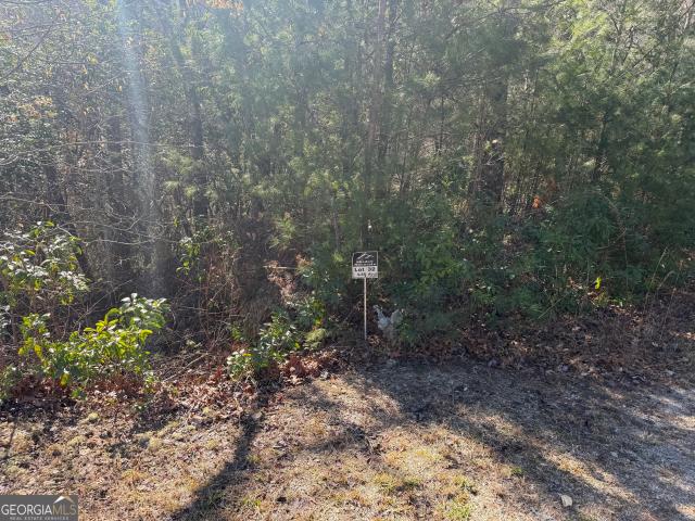 0 Shadow Mountain Dr, Unit 32, Dillard, GA 30537 | MLS #10694 | Compass