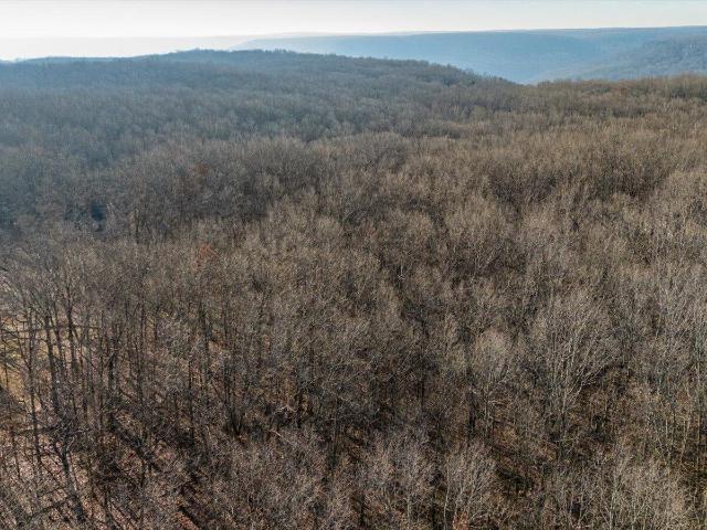 0 Shadow Rock Dr, Unit LOT 9, Monteagle, TN 37356 | MLS #1536