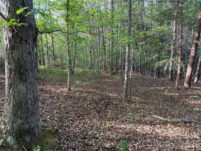 0 Shenandoah Drive # 3B