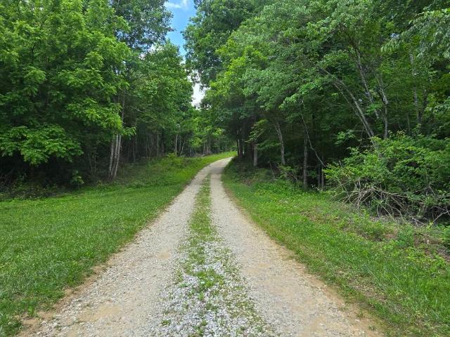 0 Sheep Ranch Rd