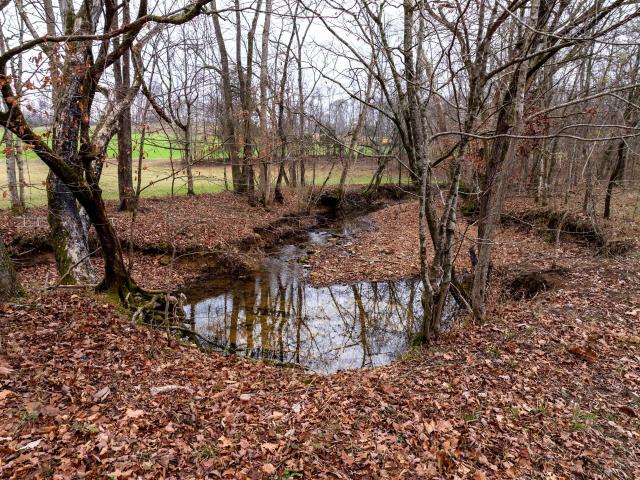 0 Shelter Branch Road