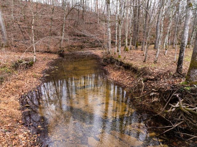 0 Shelter Branch Road