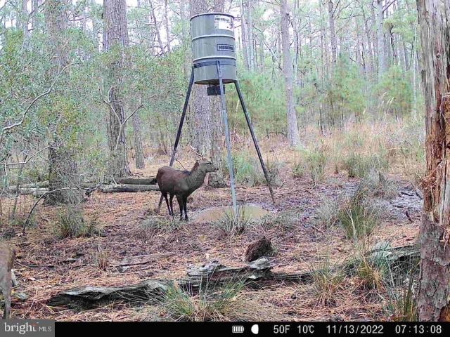 0 Shorters Wharf Rd