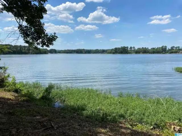 0 SHORE SIDE LANE # 137 & 138, SYLACAUGA, AL 35151 Vacant Land.