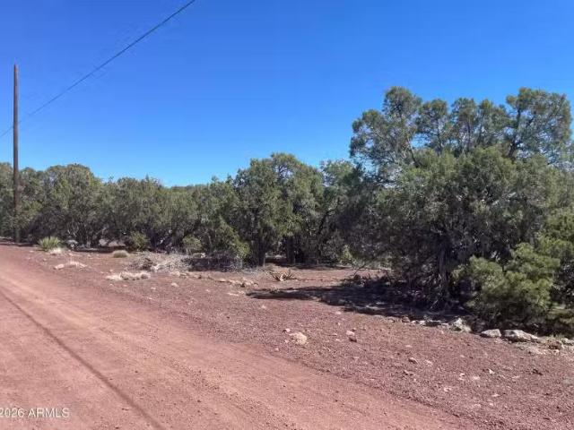 0 Show Low Pines Unit 8 Lot 346 Rd #346, Show Low, AZ 85901.