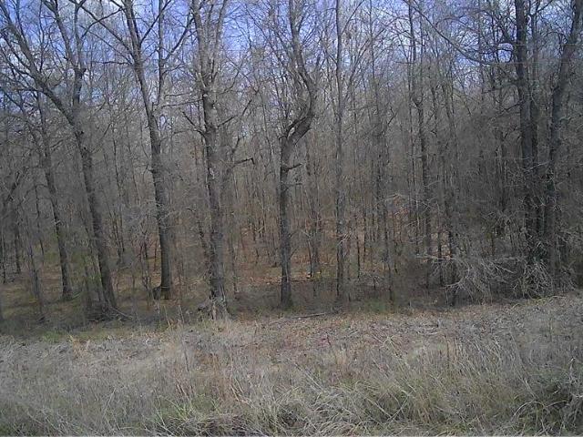 0 Shults Road
