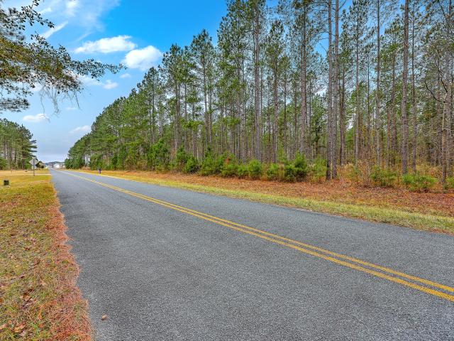 0 Shuler Belt Rd, Holly Hill, SC 29059 | MLS #25032 | Compass