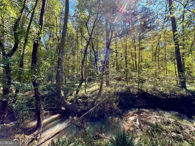 0 Silas Mercer Rd, Crawfordville, GA 30631 MLS 10364766